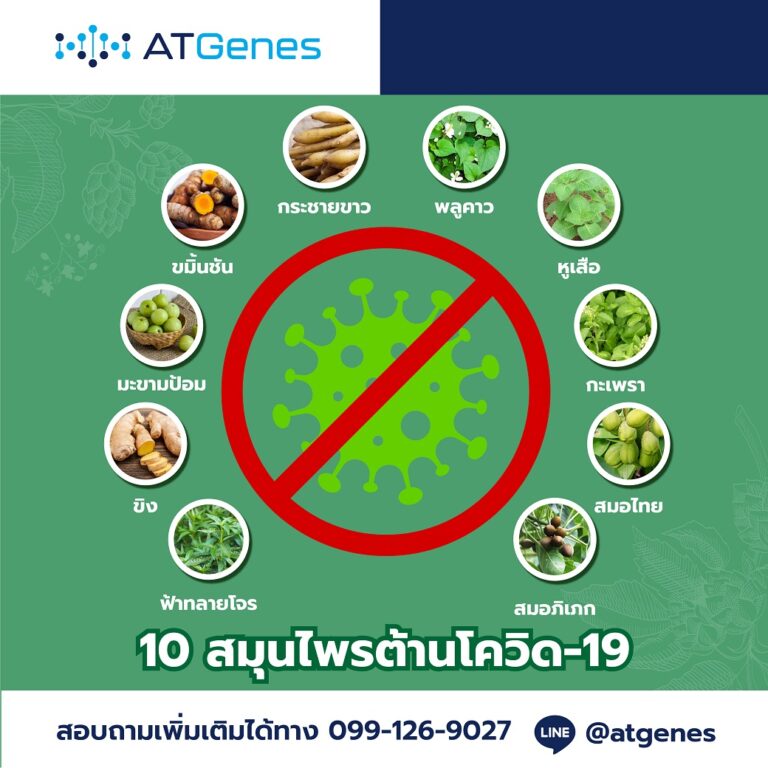 10 สมุนไพรช่วยต้านโควิด-19 - ATGenes
